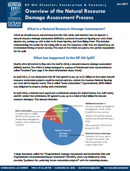 Overview of the Natural Resource Damage Assessment Process ...